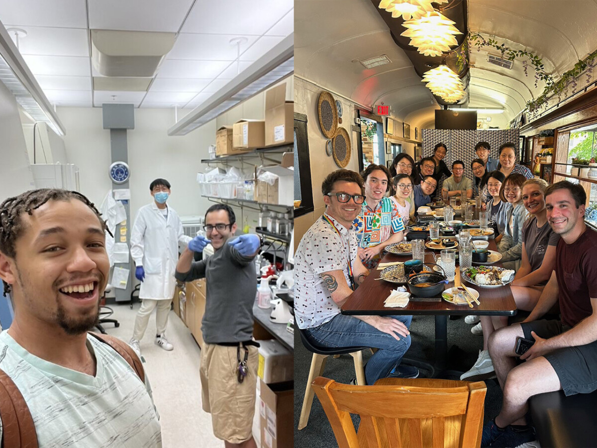 JOIN US - LIU LAB